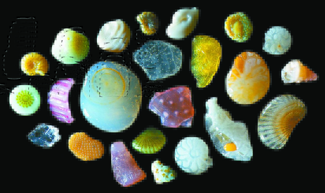 Beneath the lens | News, Sports, Jobs - Maui News